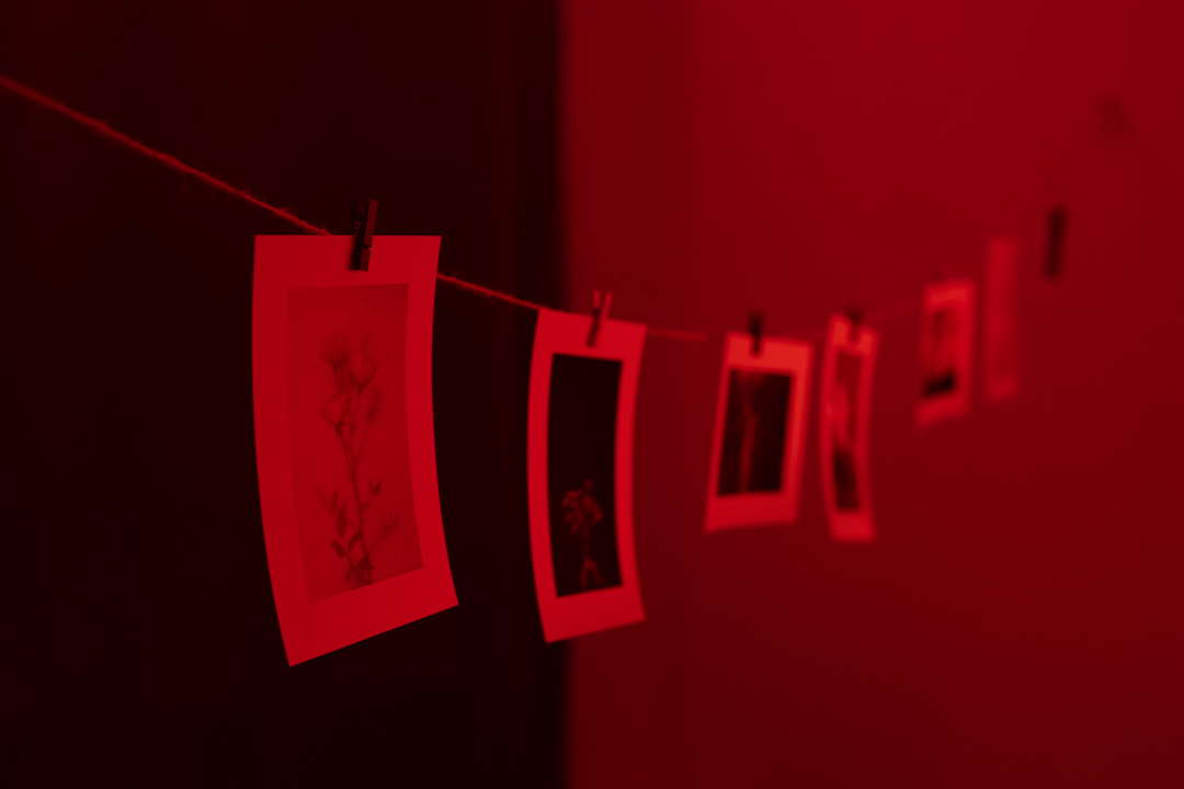 Why Is Guest Vetting Important for Your Vacation Rental?