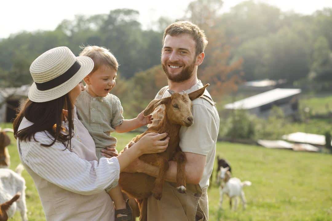 How to Make the Most Out of Airbnb Experiences