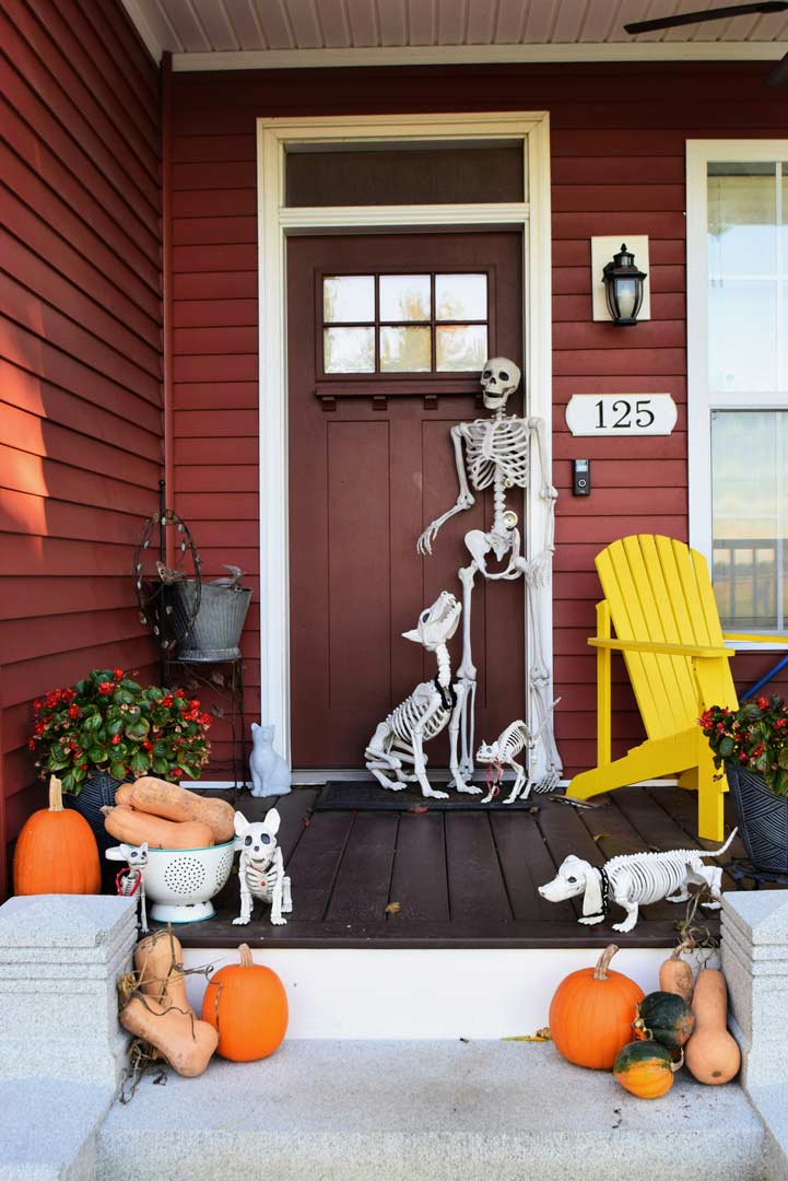 Hosting a Halloween-Themed Airbnb: Tricks, Treats, and Top Tips - Zeevou